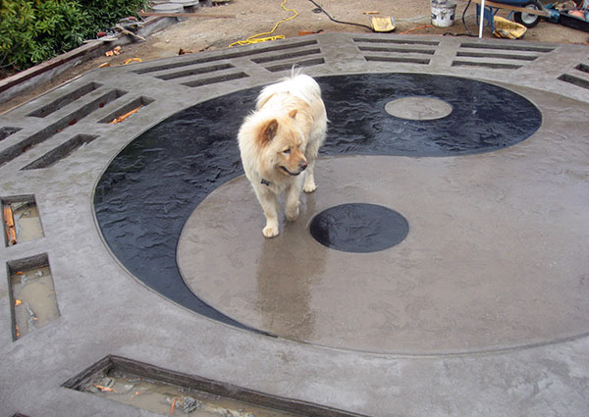 Homepage - Happy Paws Therapy